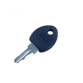 Advanced Mx Pro Spare Panel Door Key