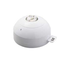 Apollo Addressable Cat W Loop Powered VAD, White Flash, White Body